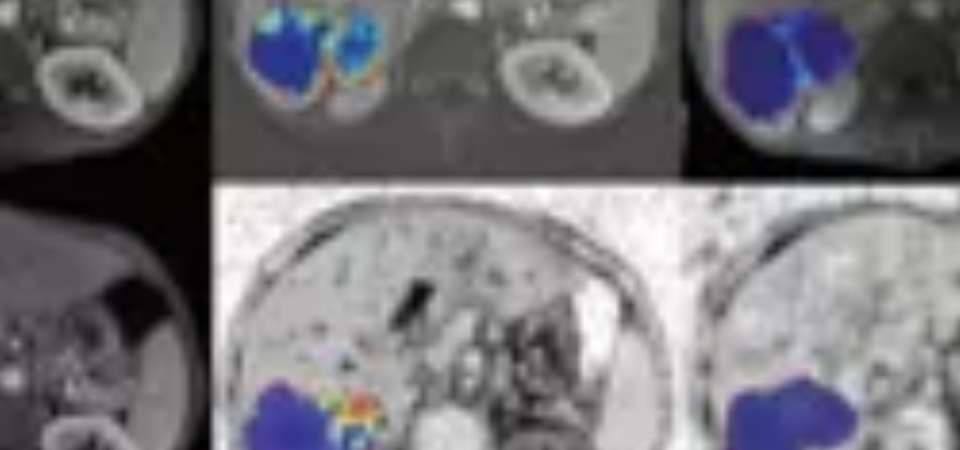 Intellispace Workstation - Tahlil Parto Co.